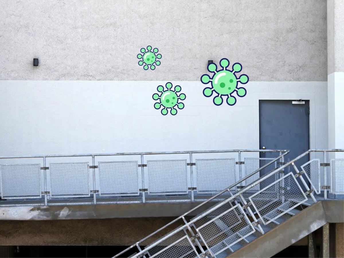 Backdoors in Javascript Applications: Invisible Character Attacks and Homoglyph Attacks