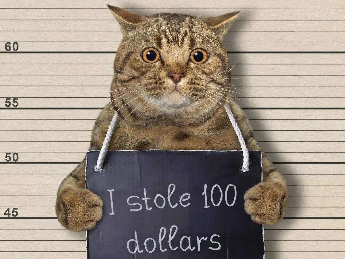 Khắc phục lỗi đăng nhập Github do thay đổi API xác thực của Google